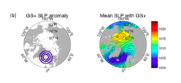 FAMOS Greenland Sea Gyre experiments - Mehmet ILICAK